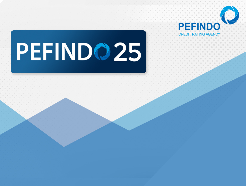 PEFINDO - PT Pemeringkat Efek Indonesia